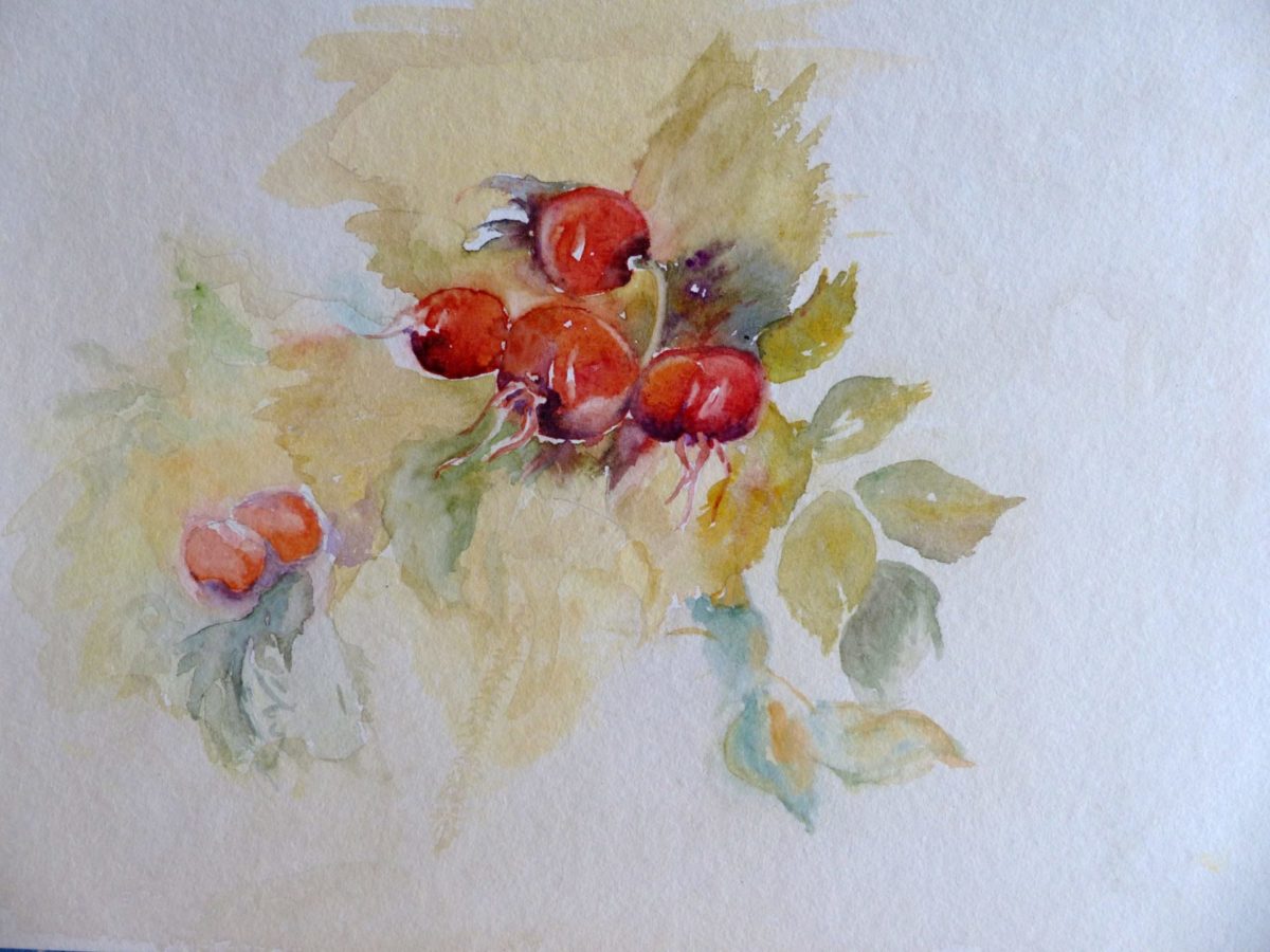 Natures mortes - Aquarelles et Peintures #separator_saFleurs et fruits ...